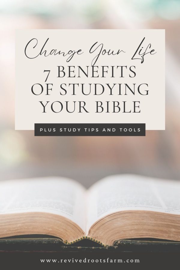 Benefits of Studying the Bible + Study Tips and Tools